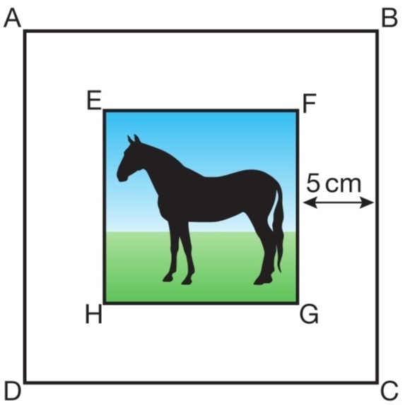 Solved: A square picture has a border (5) cm wide. The picture area is ...