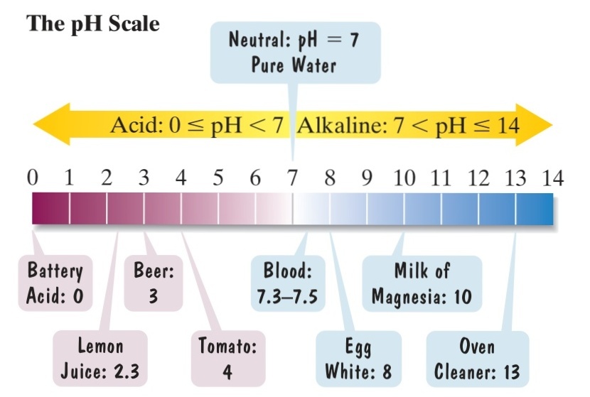 Solved: The pH scale is used to measure the acidity or alkalinity of a solution. The scale ...