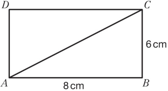 Solved: The diagram below shows a cuboid with dimensions (8) cm, (6) cm ...