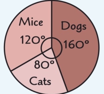 Solved: The pie chart on below shows information about the types of ...