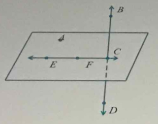 Solved: In the figure below, points (A), (E), (F), and (C) lie in plane (X). Points (B) and (D ...