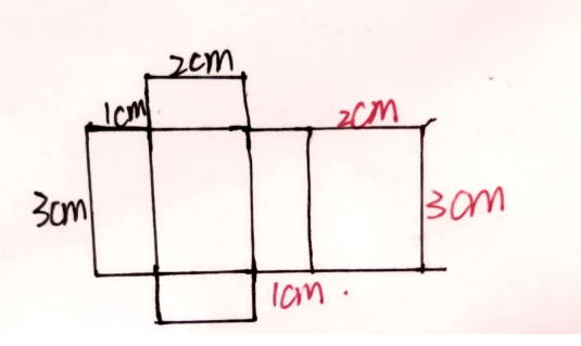 Solved: Draw a net of the cuboid. [algebra]