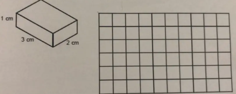 Solved: Draw a net of the cuboid. [algebra]