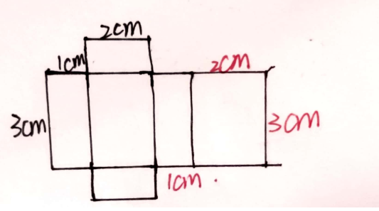 Solved: Draw a net of the cuboid. [algebra]