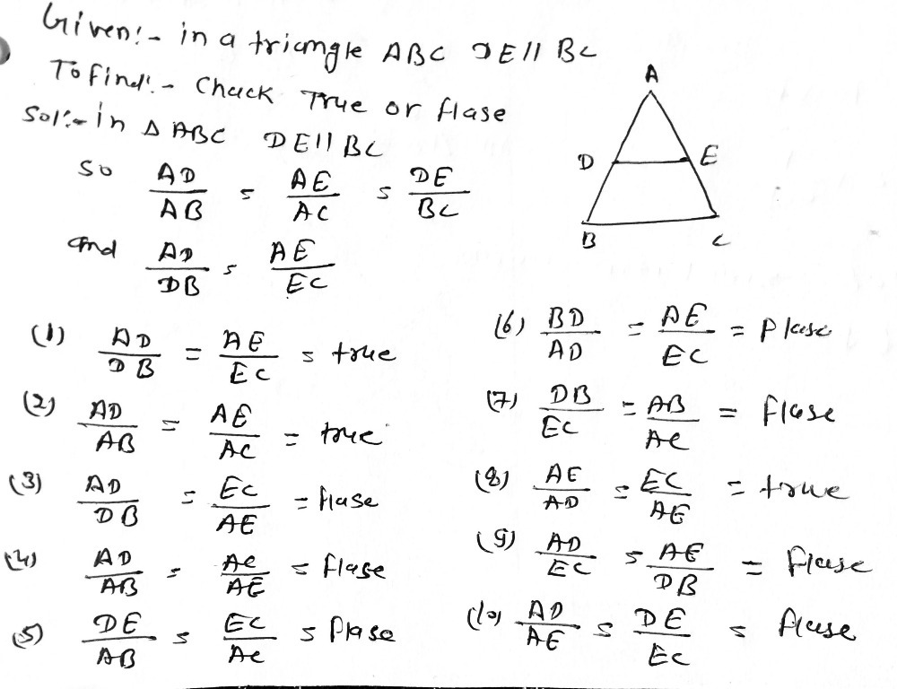 Solved: Activity: TRUE or FALSE! Directions: Write TRUE if the ...